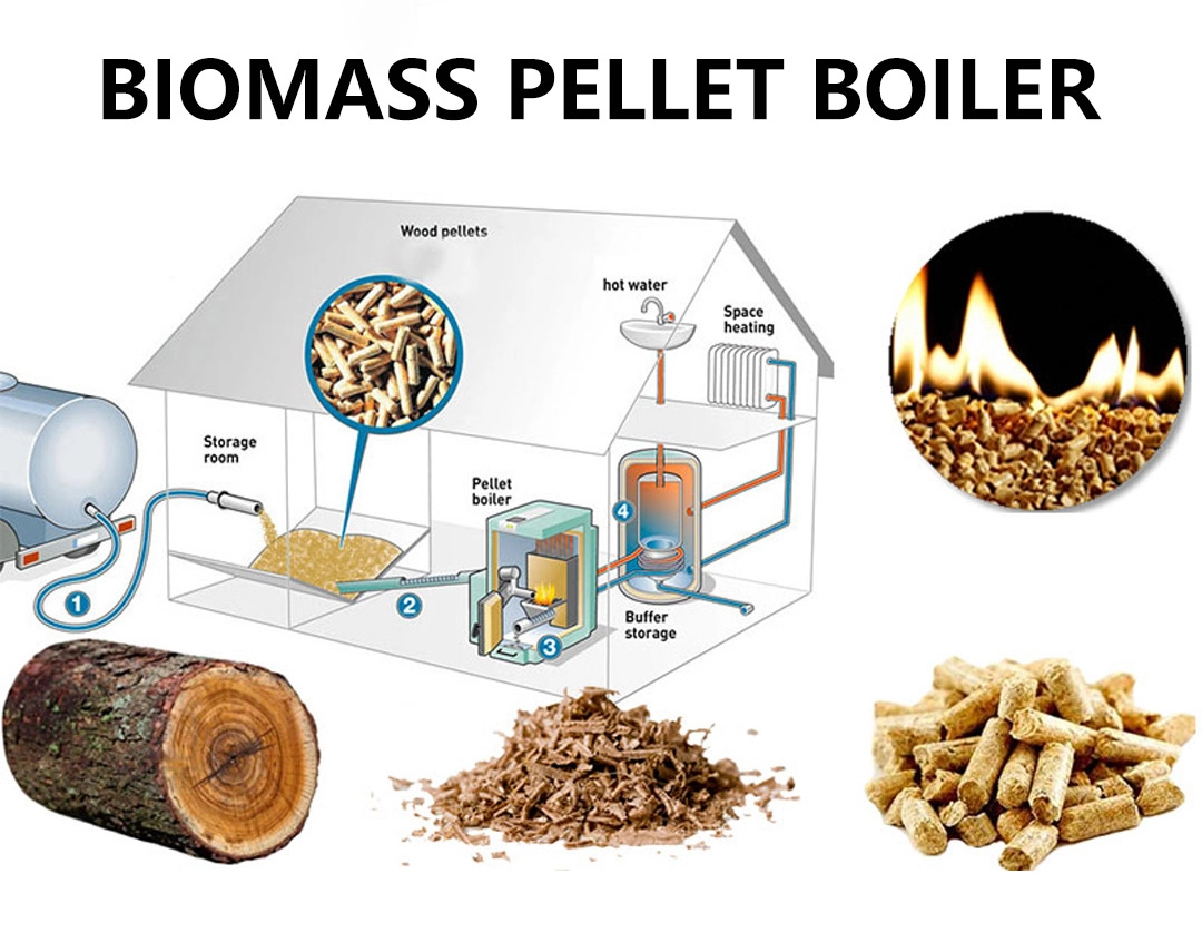 How Much Does a 1 Ton Biomass Pellet Boiler Cost? 2025 Latest Price Guide